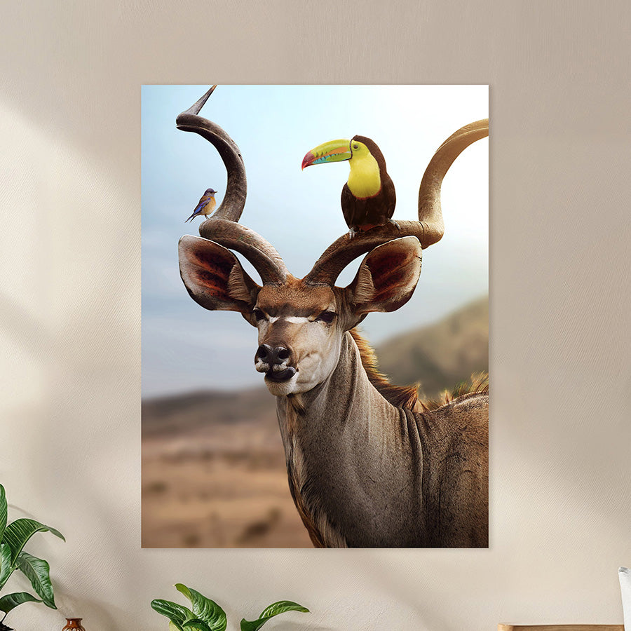 Kudu Birds - PosterJunkie