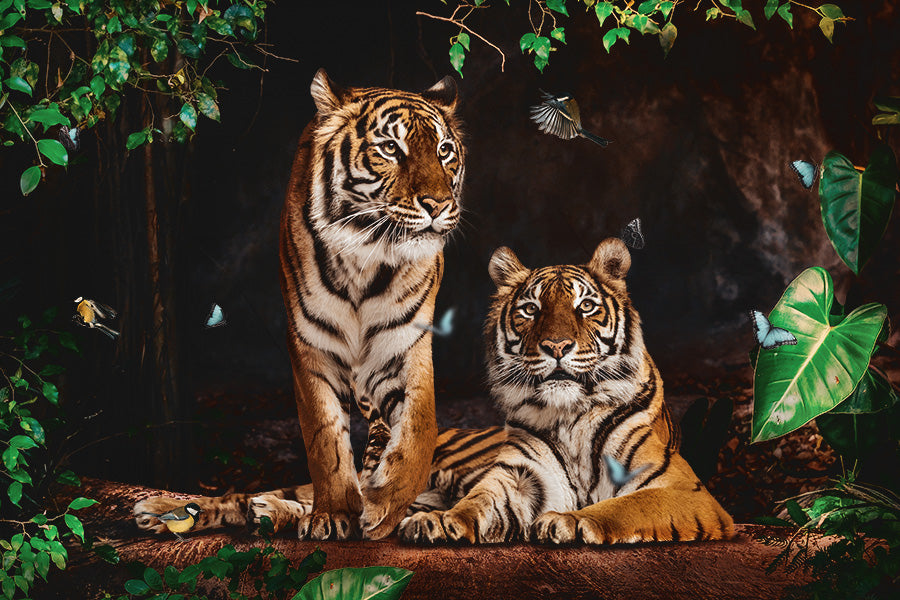 Dierenfamilies - PosterJunkie